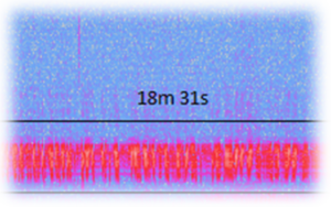 Sound – Nightjars of the Forest of Dean